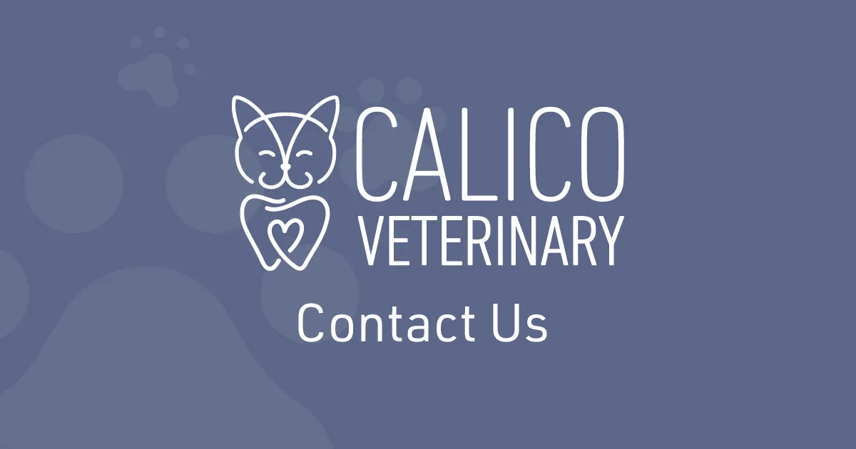 Contact Us - Calico Veterinary